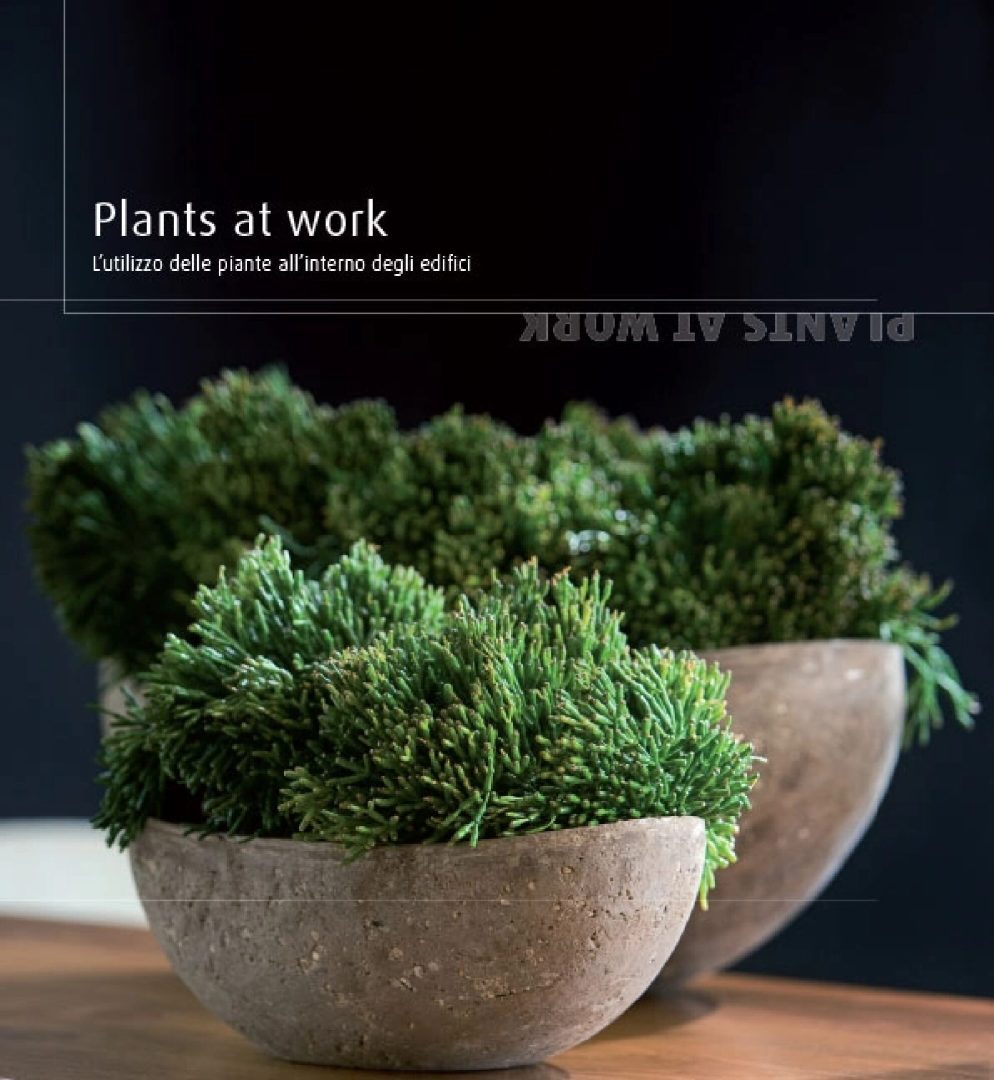 Plants at work | Hydro Ware